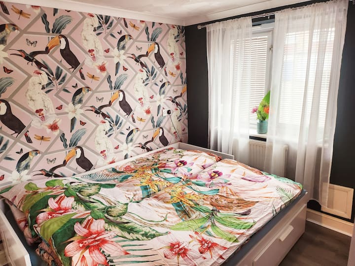 Small Private En-suite Room In Deal - Deal