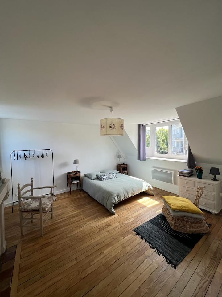 Chambre Spacieuse Plein Centre - Saint-Brieuc