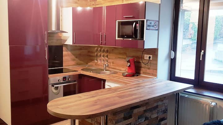 Joli Appartement Dans Maison Avec Jardin - Remiremont