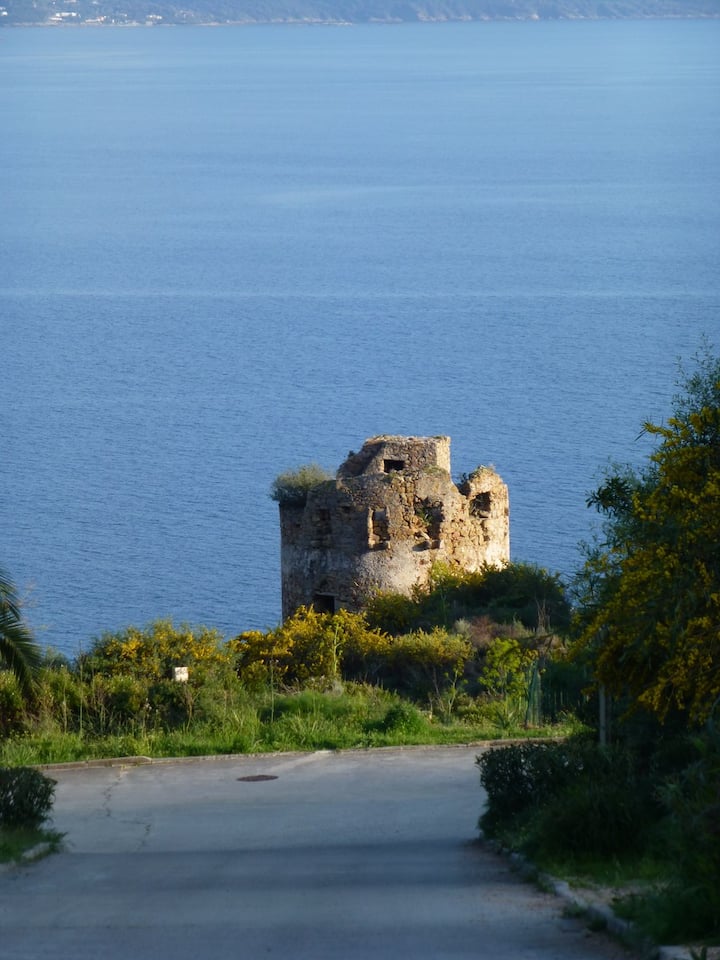 Corse Du Sud Sagone Vue Exception Spot Surf Hiver - Cargèse