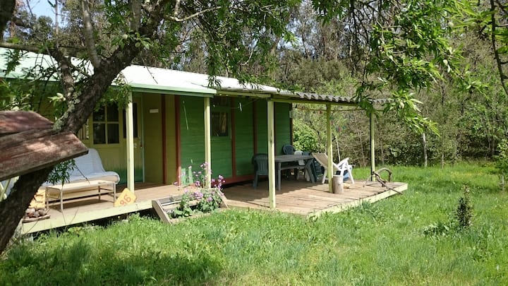 Bungalow Pleine Nature En Corse - Aleria