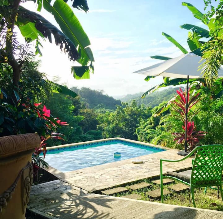 Rincón Alojamientos vacacionales - Rincón, Puerto Rico | Airbnb