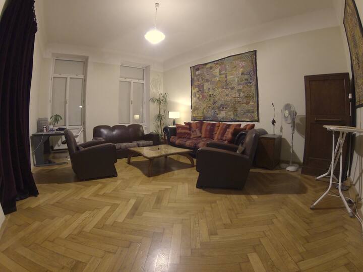 Family Room In Art Nouveau Treasure - Brno