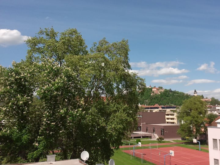 Insider T19: Centrally Located, Quiet, Maximal 4 - Graz