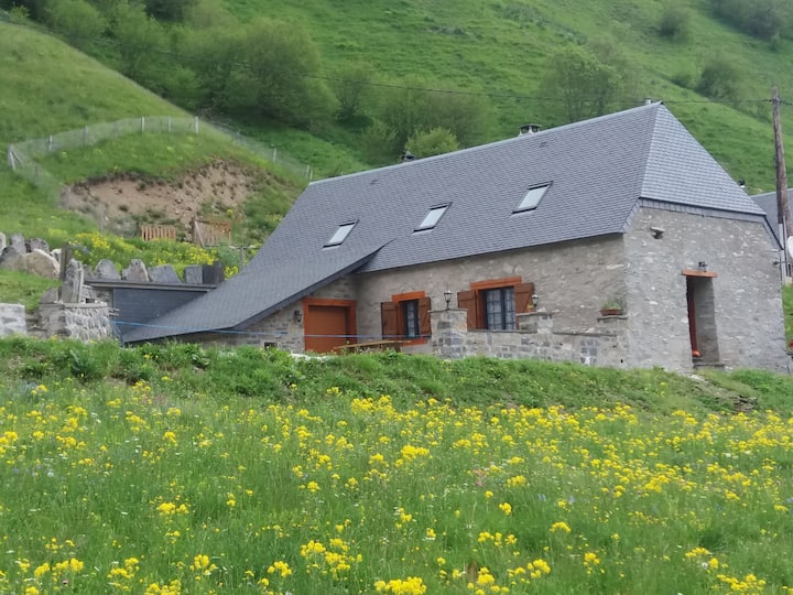 Grange Rénovée, 8 Couchages, à Espiaube. - Saint-Lary-Soulan