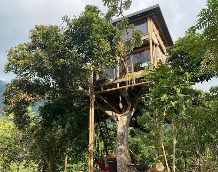 Tree House Tutusoma, Minca - Sierra Nevada - Minca