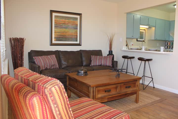 Remodeled, Furnished, Apartment - All Your Own! - Odessa, TX
