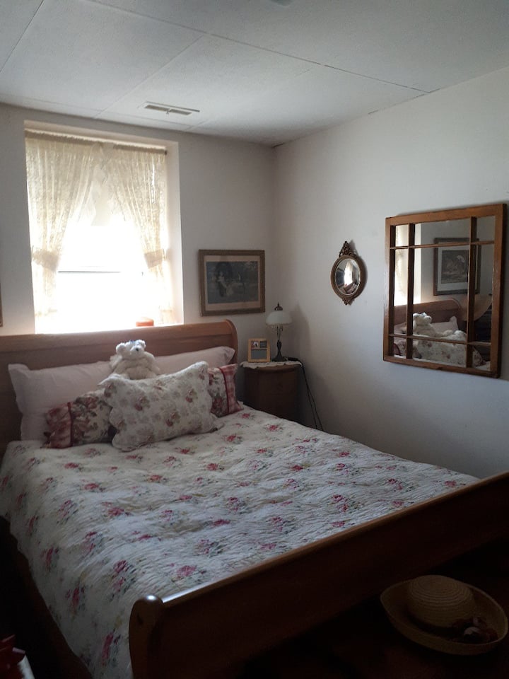 Luxurious Private Bedroom  - Downtown Fergus - Fergus