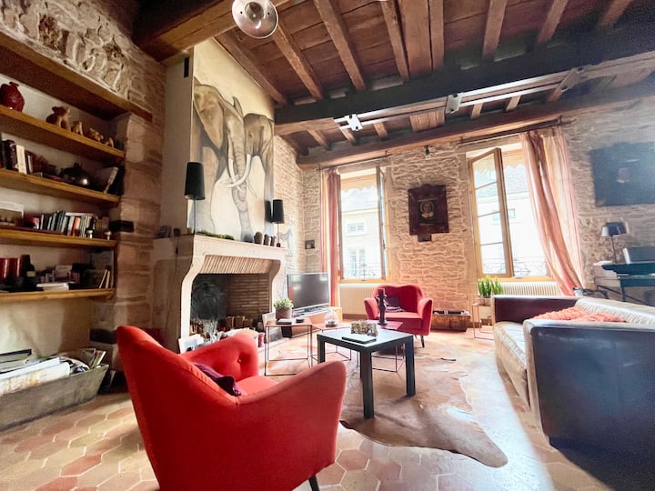 Loft Beaune Historique. Clim - Beaune