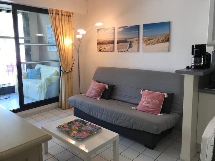 T2 Clim Parking Privé Plage 3 Min - Argelès-sur-Mer