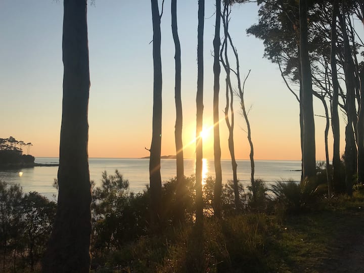 A Sanctuary At Denhams - Pooch Friendly - South Coast