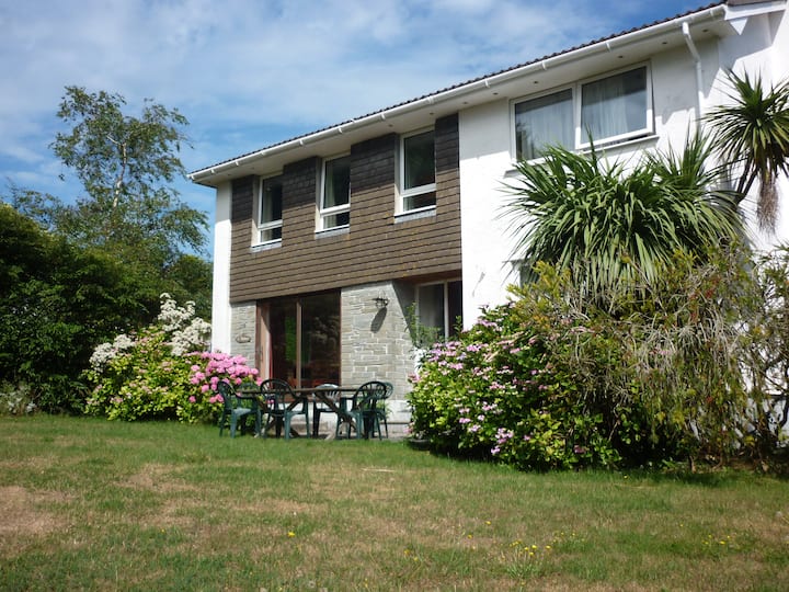 Sahara - Rock Cornwall Near Beach - Cornwall