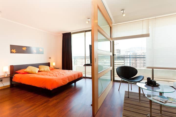 Fully Furnished Apartment Providencia - Santiago