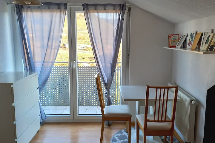 3zimmer Dachgeschosswohnung, Schöner Weinbergblick - Heitersheim