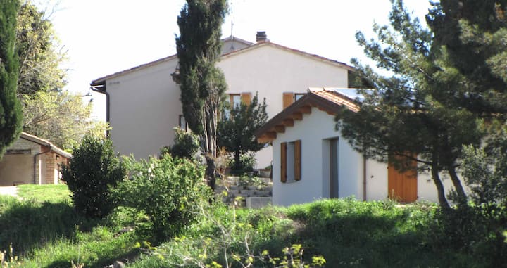 Gruppi, Feste Laurea, Matrimoni... - Urbino