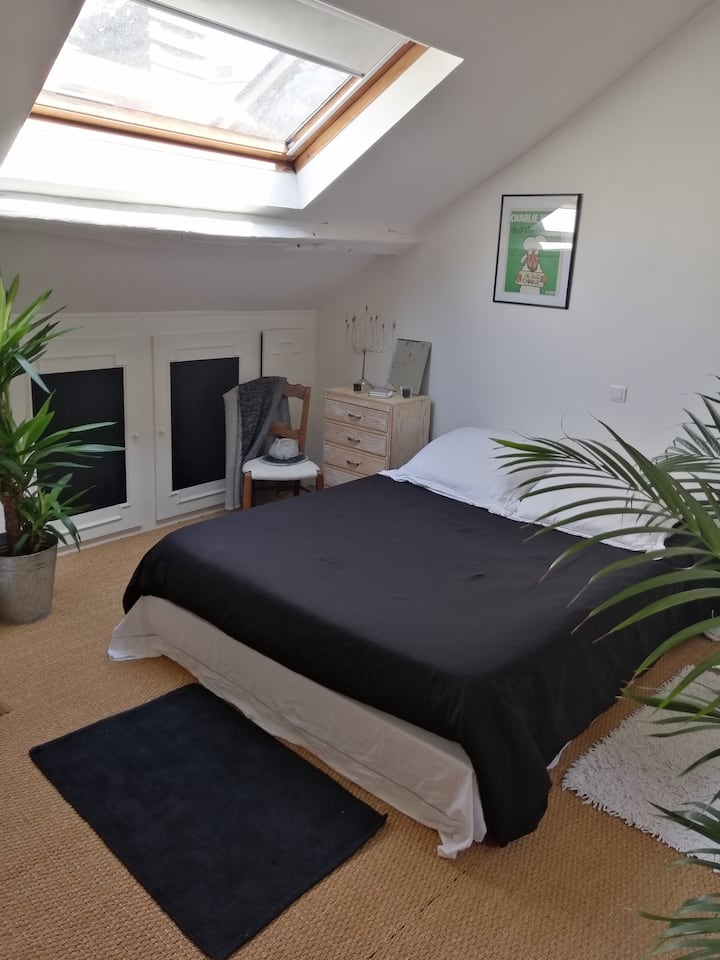 Coin De Verdure Sous Combles - Blois