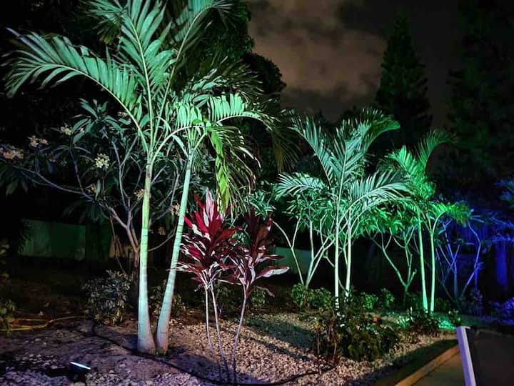 The Mango Tree Getaway - Bradenton, FL