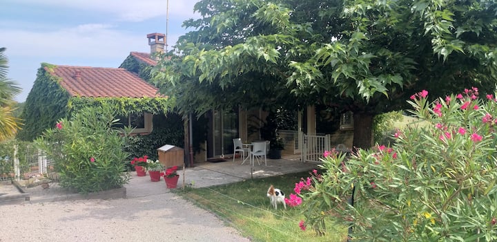 Chambres Chez L'habitant Sur La Route Des Pyrénées - Gers