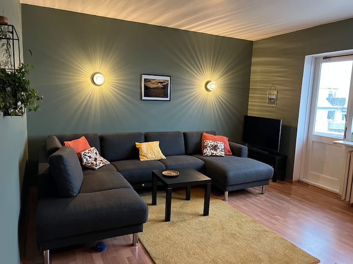 Lovely Two Bedroom Family Apartment - Reykjavik