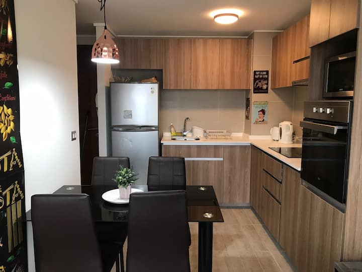 Hermoso Departamento Santiago Sector Barrio Italia - Santiago (Chile)