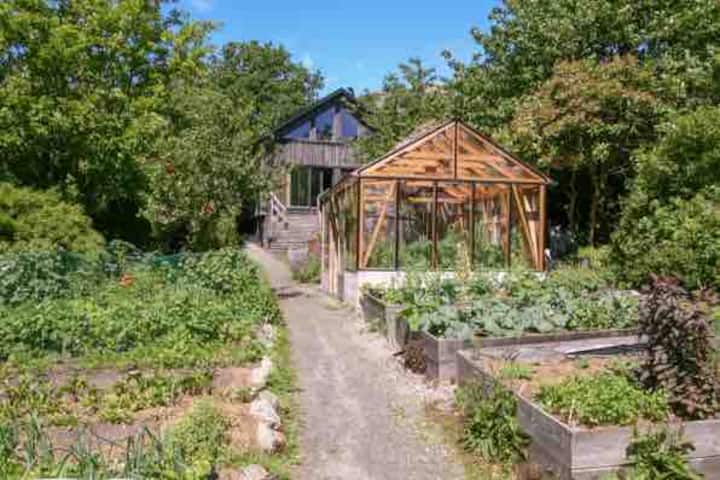 Island Paradise - Göteborg