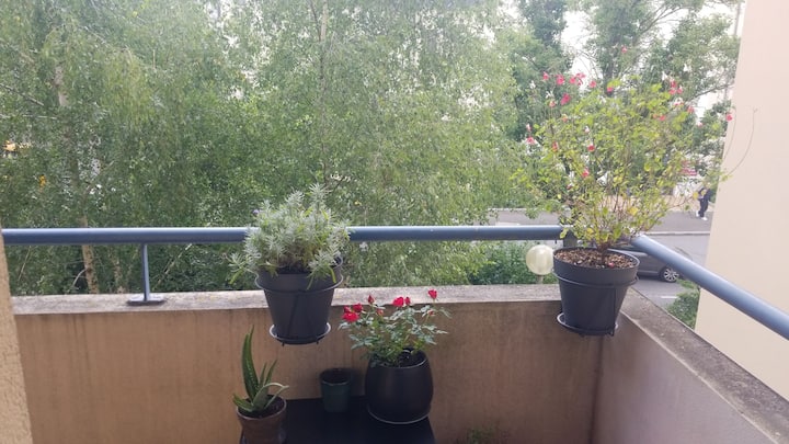 Appartement Rennes Centre-ville. - Rennes