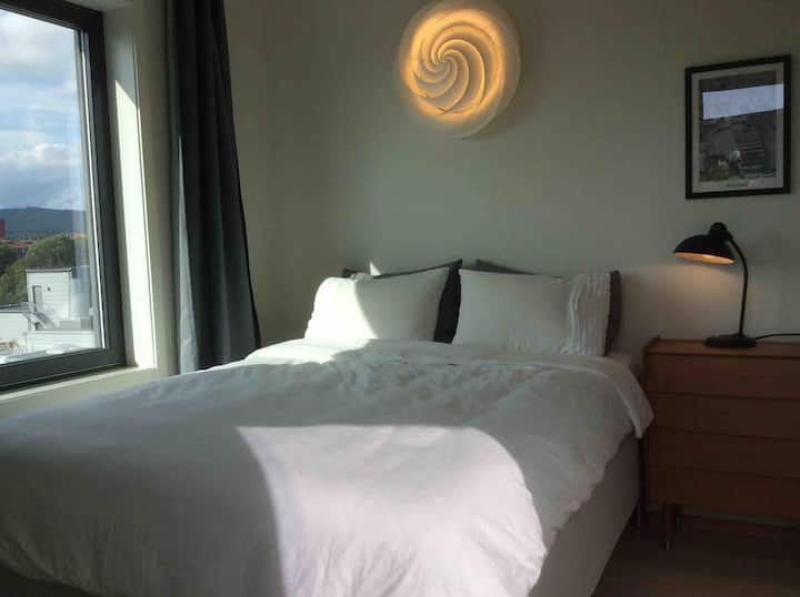Modern Bedroom With Private Bathroom, Central Oslo - Oslo