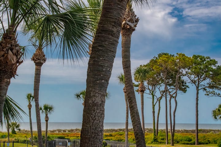 Kbed! 2 Min To Beach~ Ocean Views! 2 Bikes! #136 - Hilton Head Island, SC