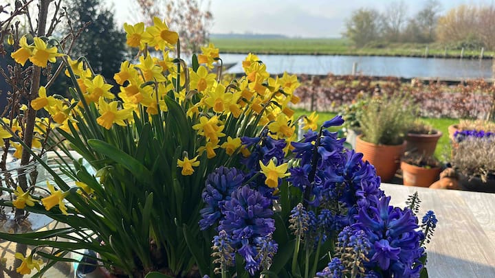 Prachtig Verblijf Bij Steden, Meer, Zee En Stad - Leiden