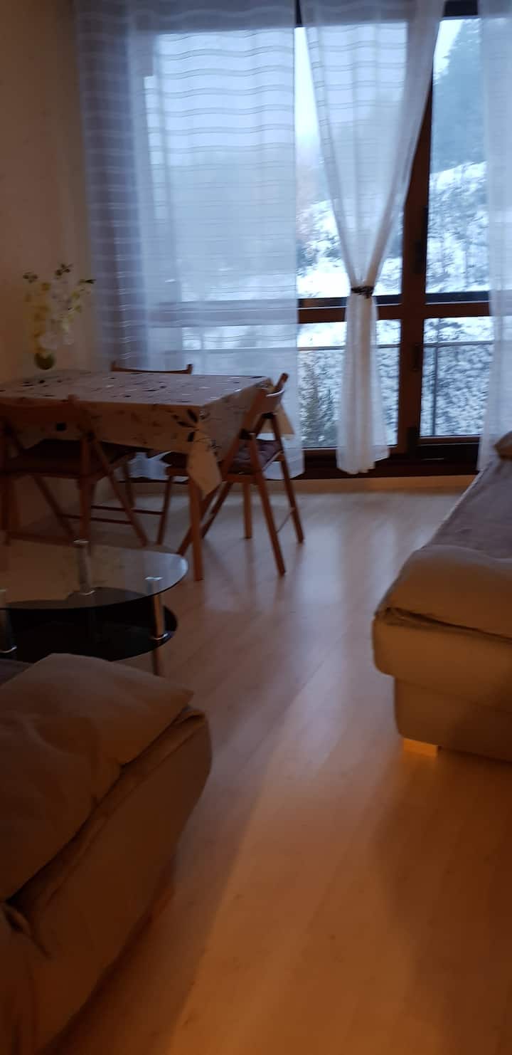 Studio Très Lumineux - Corrençon-en-Vercors