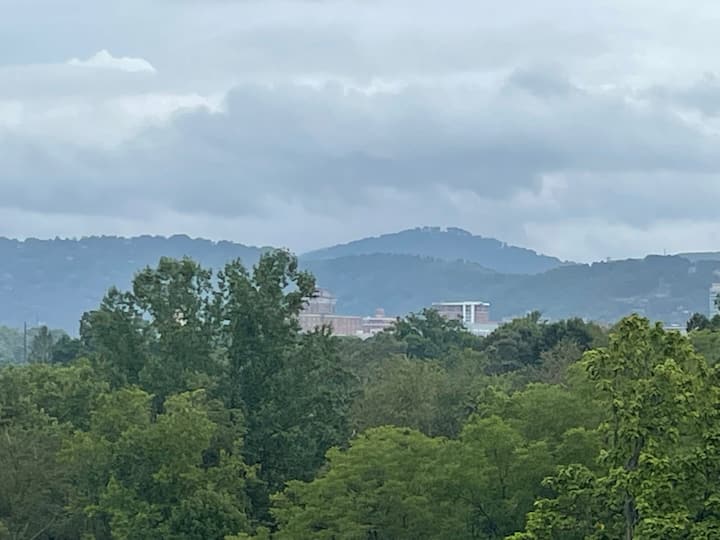 Oasis In The City - Asheville, NC