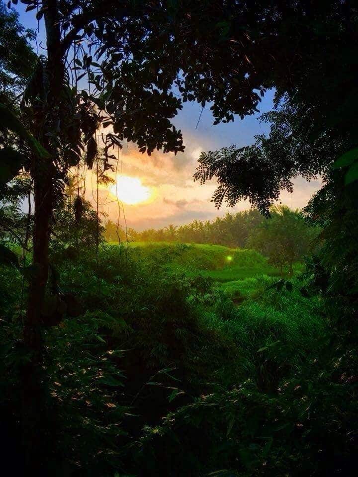 Lasan Mas Guesthouse - Maison D'hôtes - Bali