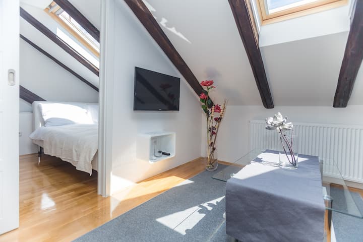 City Center Apartments 3 - New !!!! - ザグレブ