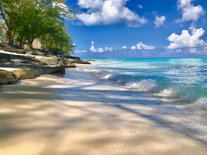 Gun Cay Ferienwohnungen & Unterkünfte - Bimini, The Bahamas | Airbnb