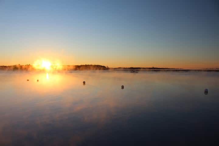 Sea Grass On The Water - Scarborough, ME
