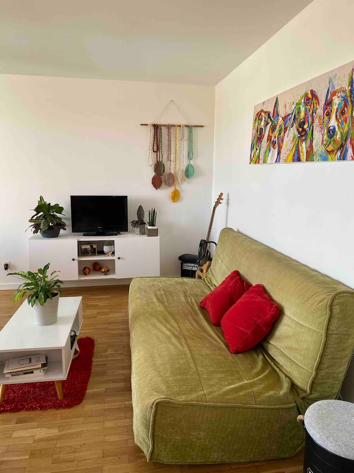 Appartement Lumineux Avec Balcon - Villeurbanne