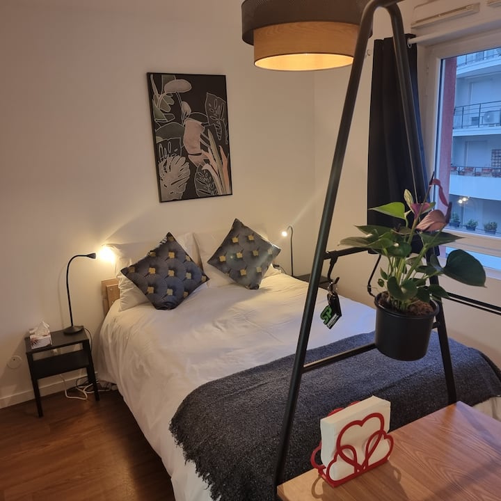 Lyon Montchat Villeurbanne Studio Climatisé Et Pkg - Lyon