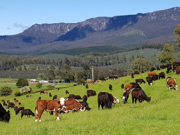 Roland Park B&b - タスマニア