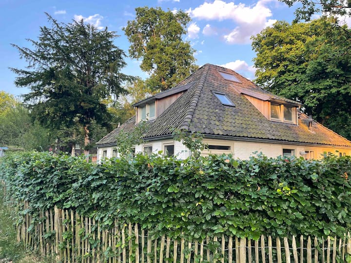 Gezellig Familiehuis In Hartje Bergen, Grote Tuin - Bergen, Netherlands