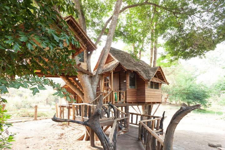 15 Best Treehouse Hotels & Vacation Rentals In Thailand - | Trip101