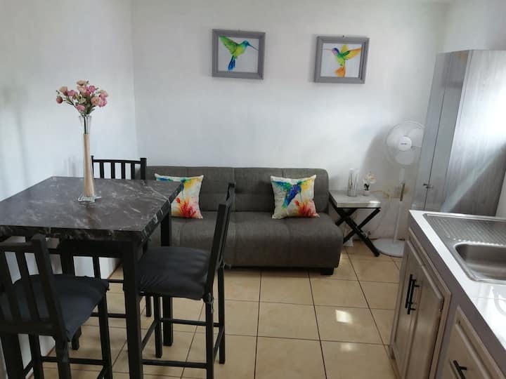 Departamento Colibrí - Guanajuato