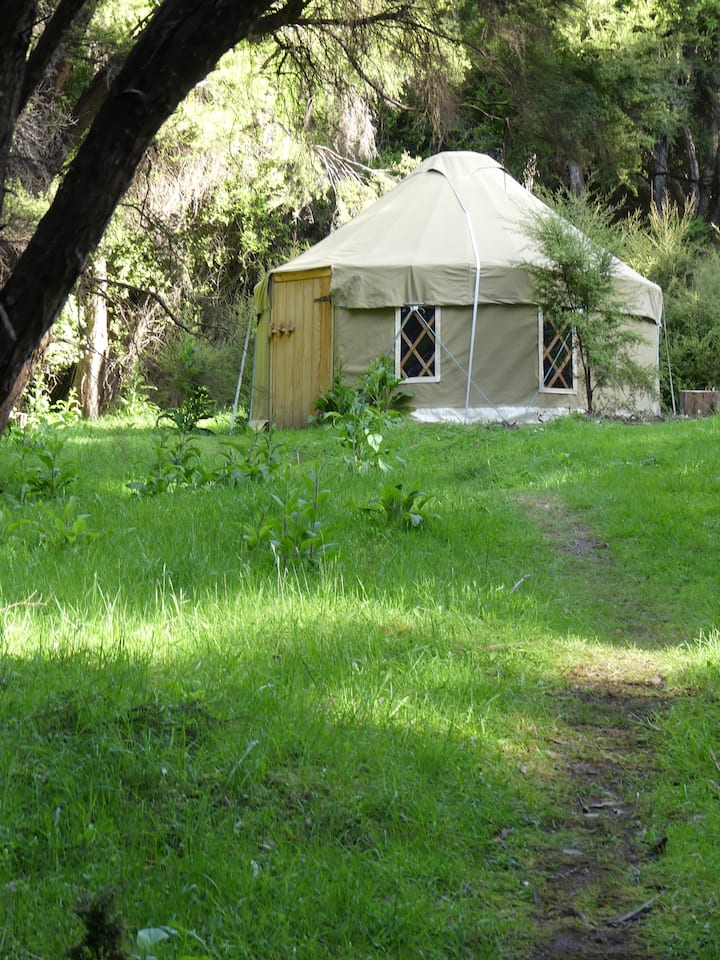 Yurt In The Woods - Little River