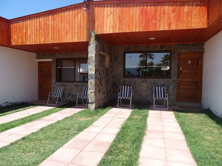 Cisnes De Palmares - Villa Alemana