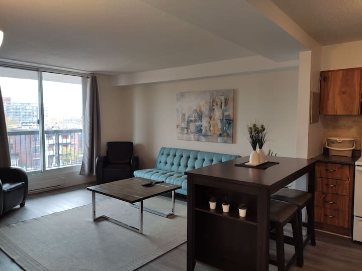 Downtown Ottawa 2-bedroom Unit - Ottawa