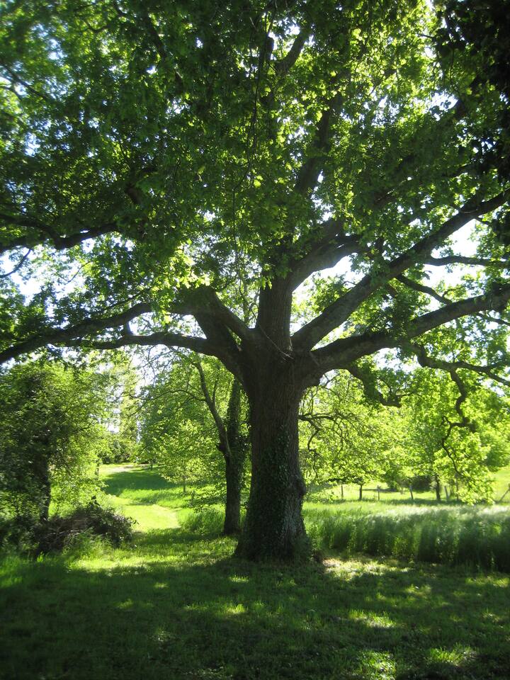 Maison De Campagne Forêt De La Double En Périgord - 도르도뉴