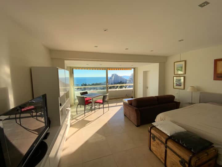 Superbe Studio - Bord De Mer - Villeneuve-Loubet