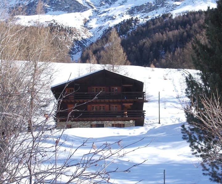 Appartement Dans Un Chalet Traditionnel (S2) - Zinal