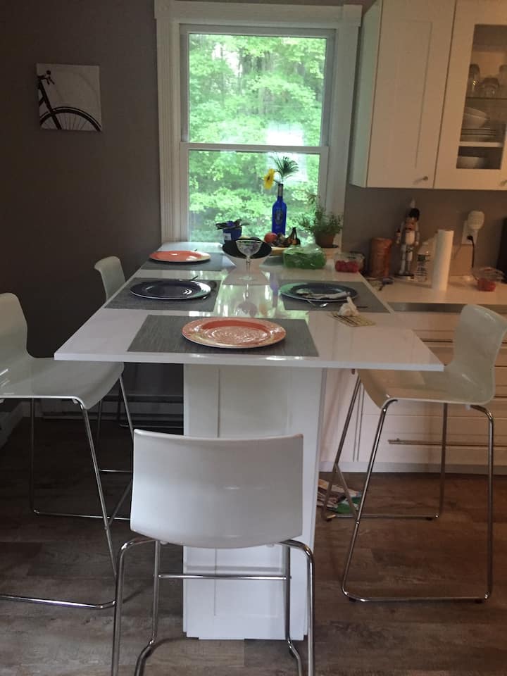 Fifa World Cup. 2 Rooms/walk To Boston Stadium - Foxborough, MA