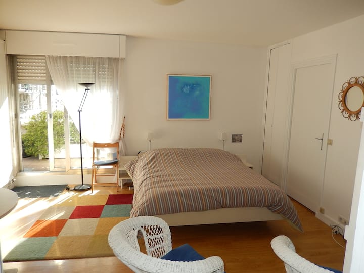 Studio Calme 35m2 Proche Parc Say Cigale Elephant - ibis Nantes Centre Tour Bretagne