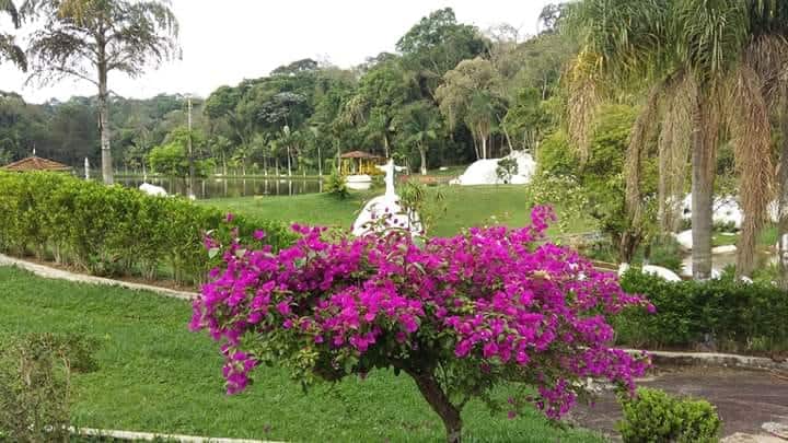 Sitio
São Roque - Cotia